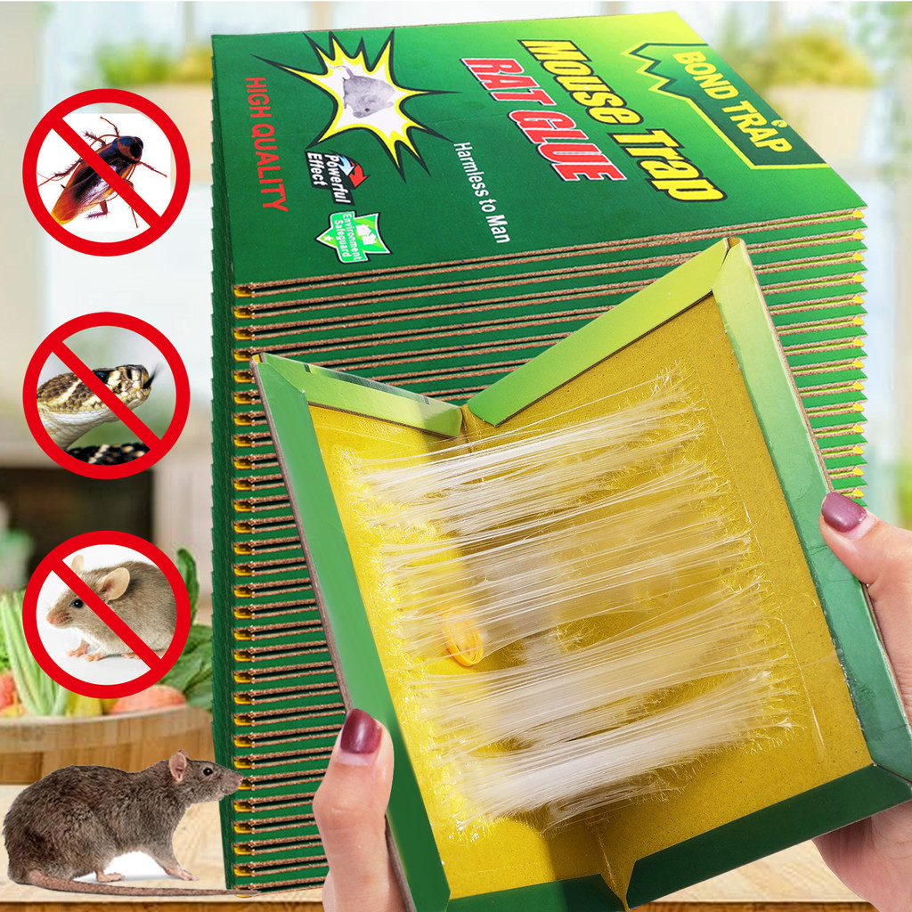 3/5/10Pcs Adhesive Rat Sticky Glue Traps / Glue Mouse Board Sticky Pads ...