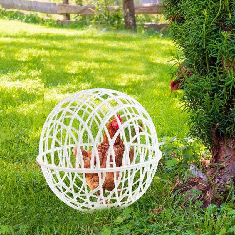 For Chickens Movable 3 Pieces Orb Pet Safety Ball-Shaped Chicken ...