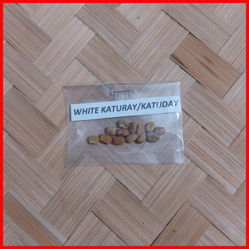 Ѩ Katuray/ Katuday Seeds (10Pcs/Pack) | Shopee Philippines