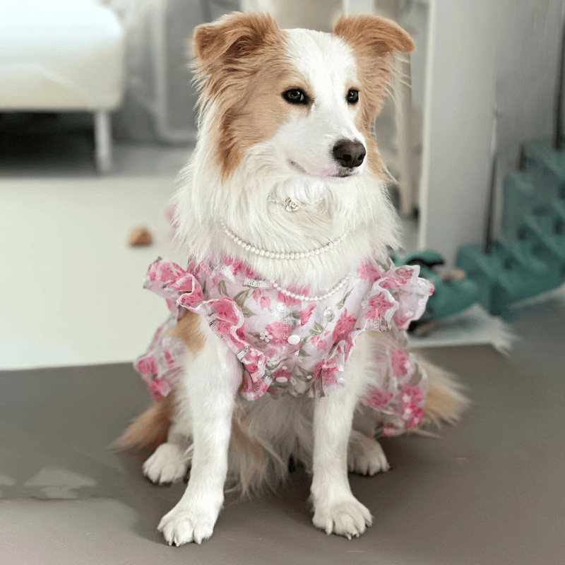 Wedding Pet Costume Big Dog Clothes Birthday Dog Dress for German ...
