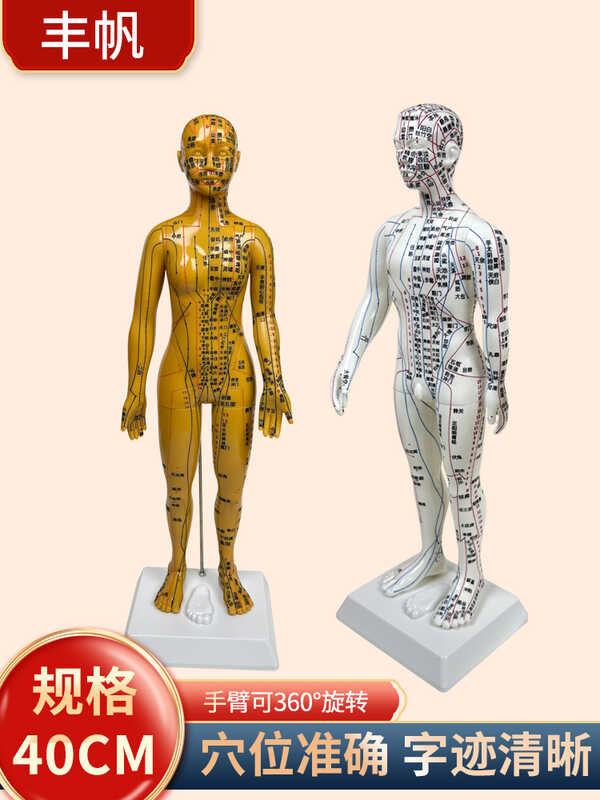 Tt Tanging TCM Acupuncture Acupoint Model Meridian Copper Man Small ...