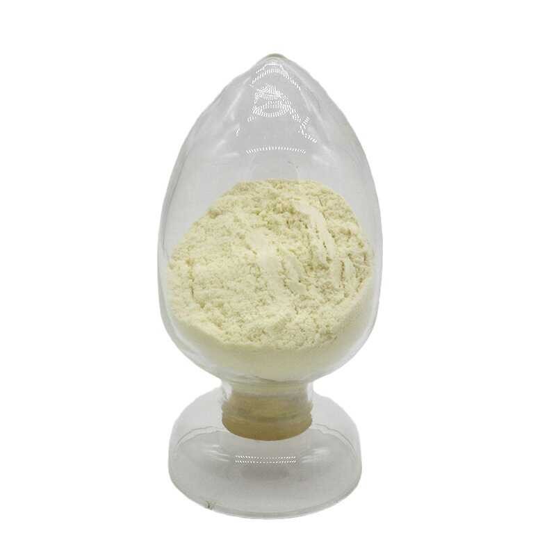 Lactobacillus rhamnosus probiotic solid beverage 10 billion/g freeze ...