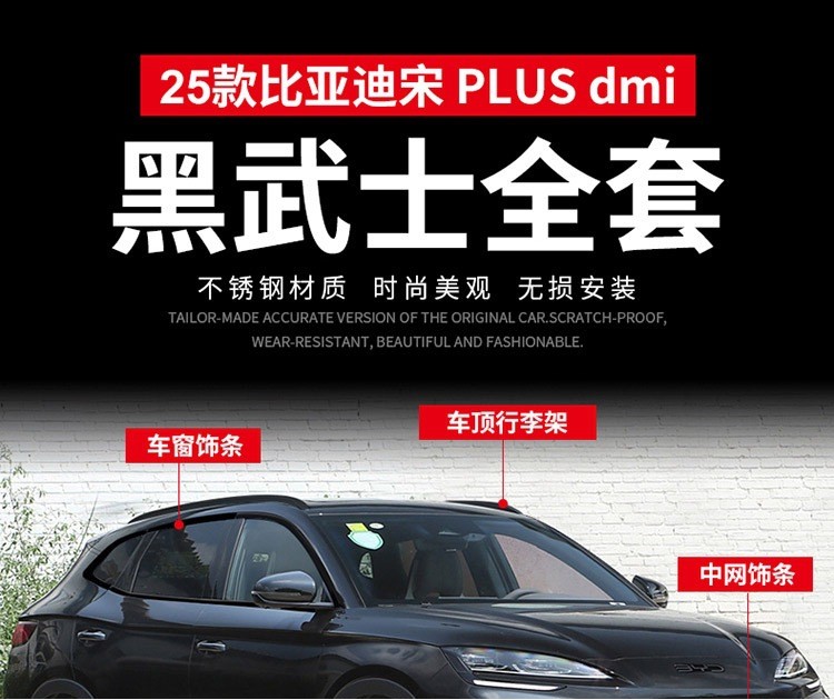Front Black Net Logo Emblem For BYD Song Plus DM 2025 | Shopee Philippines