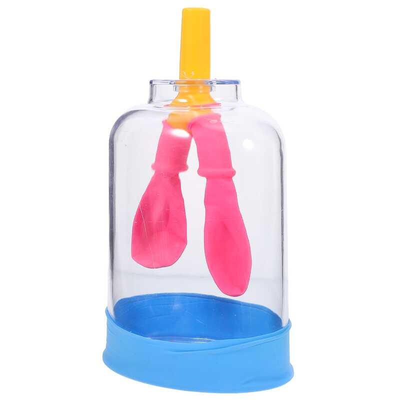 Anatomy Teaching Models Lung Breathing Model Experiment Kit For High ...