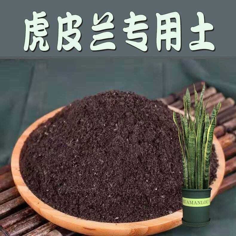special Tiger skin orchid Green plant Acidic nutrient General pla ...