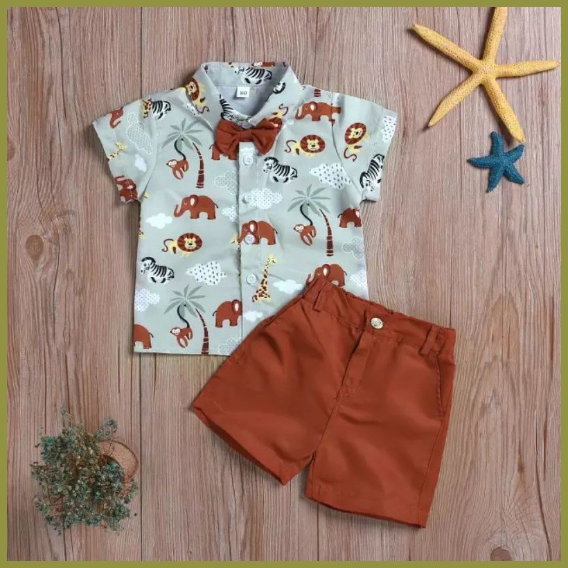 Baby Boy Zoo Keeper Safari Birthday Photoshoot Outfit (Nol Set ...