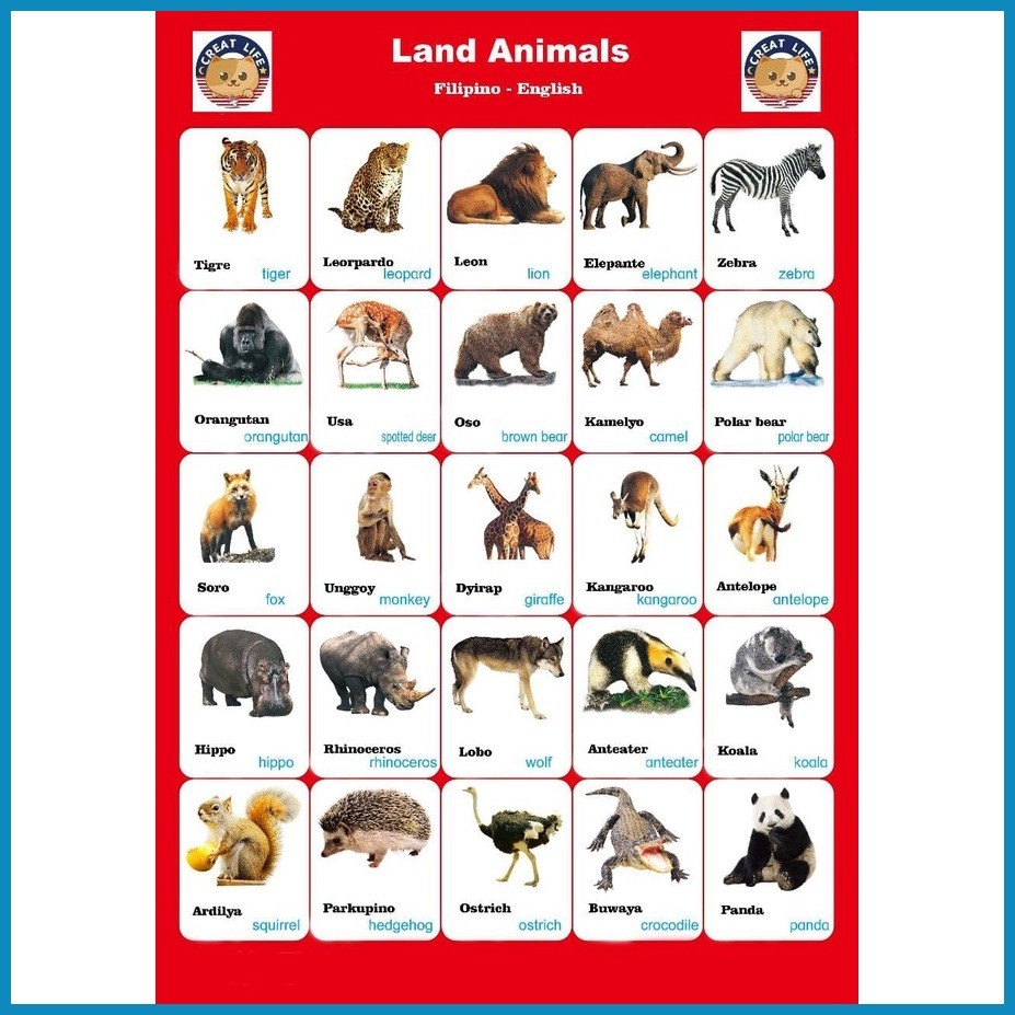 58*42cm Filipino - English Educational Wall Charts for Kids Learning ...
