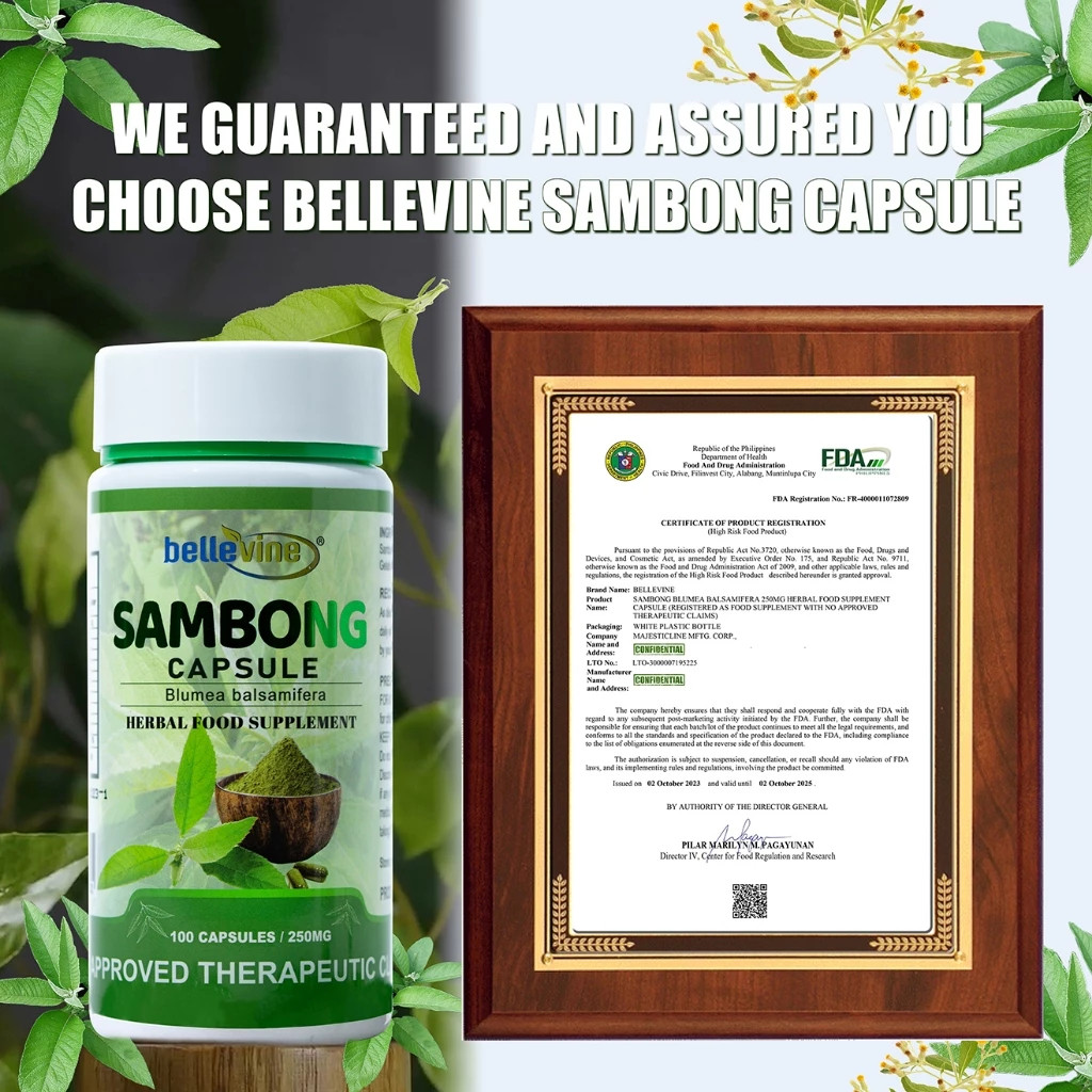 Sambong Herbal Supplement 100 Capsules/Bottle | Shopee Philippines