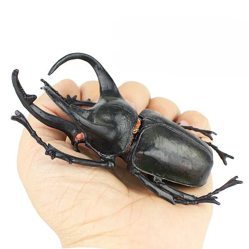 5F Wild Insect Animal Model Unicorn Beetle Action Figures Figure ...