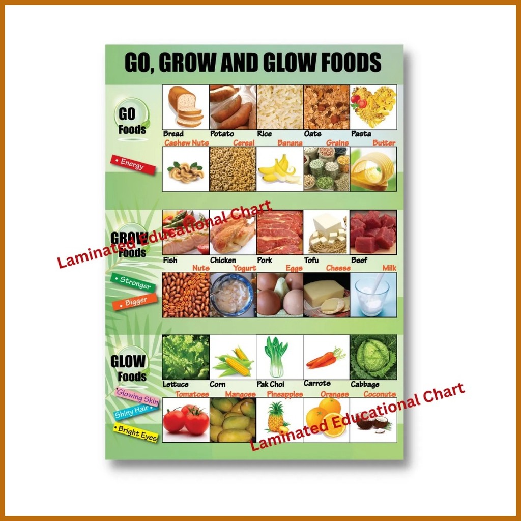 Laminated Go, Grow & Glow Foods Chart for Kids, Learners and Educators ...