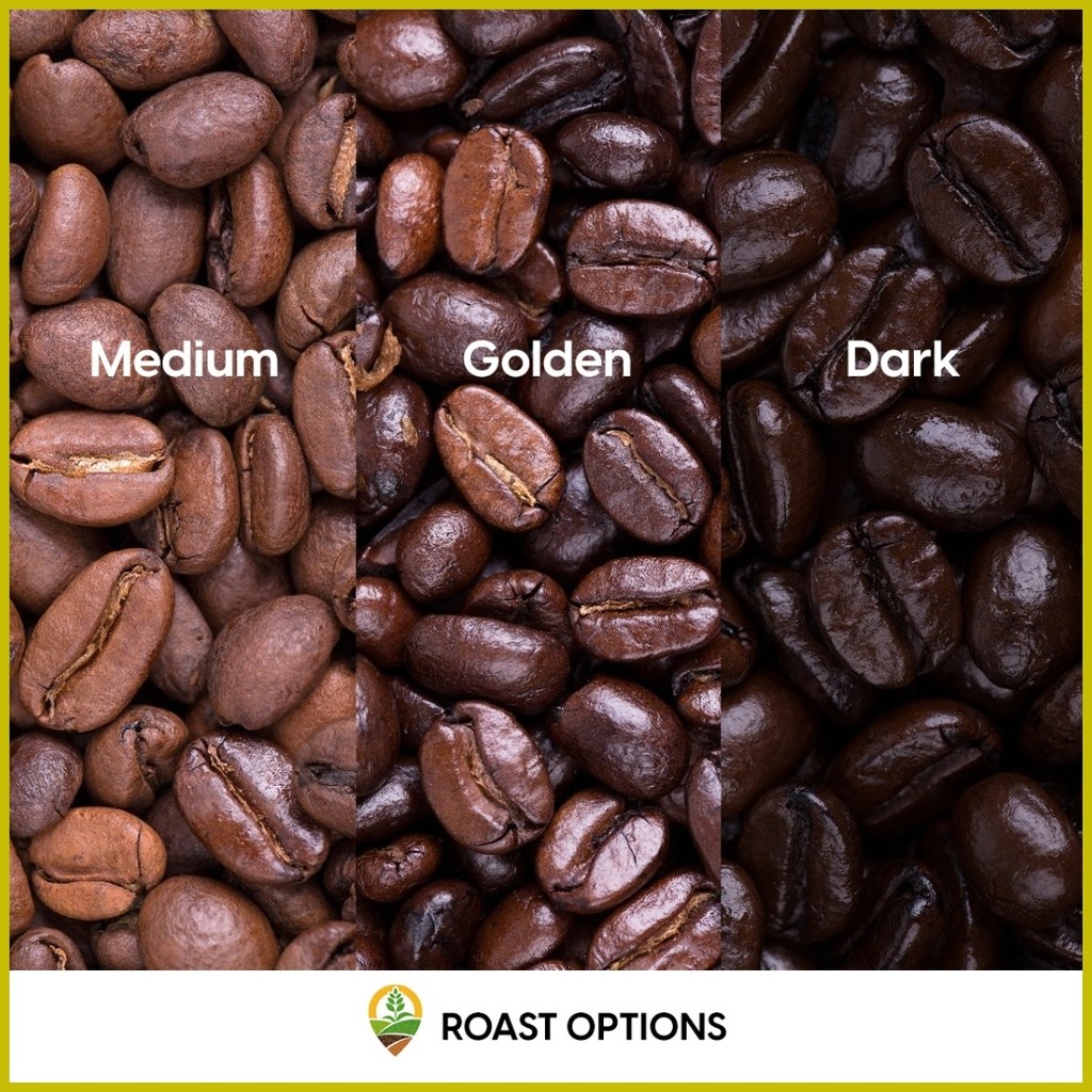 CG] 1KG Sagada Arabica Coffee in Resealable Pouch Beans or Ground Fresh ...
