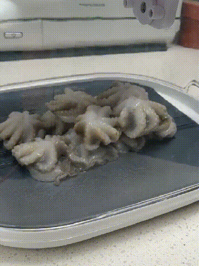 【6-In-1 Atomized Quick Thawing Artifact】Atomizing Thawing Machine ...