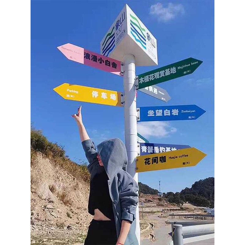 Internet Celebrity Style Standing Creative Vertical Park Direction ...