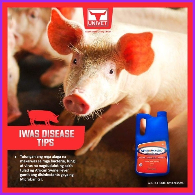 Microban GT - 1 liter | Shopee Philippines