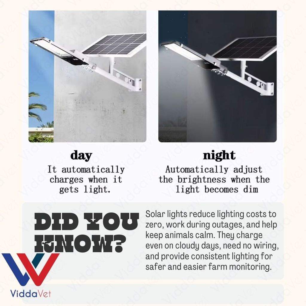 Powerful Solar Light for Livestock and Poultry Areas Designed for ...