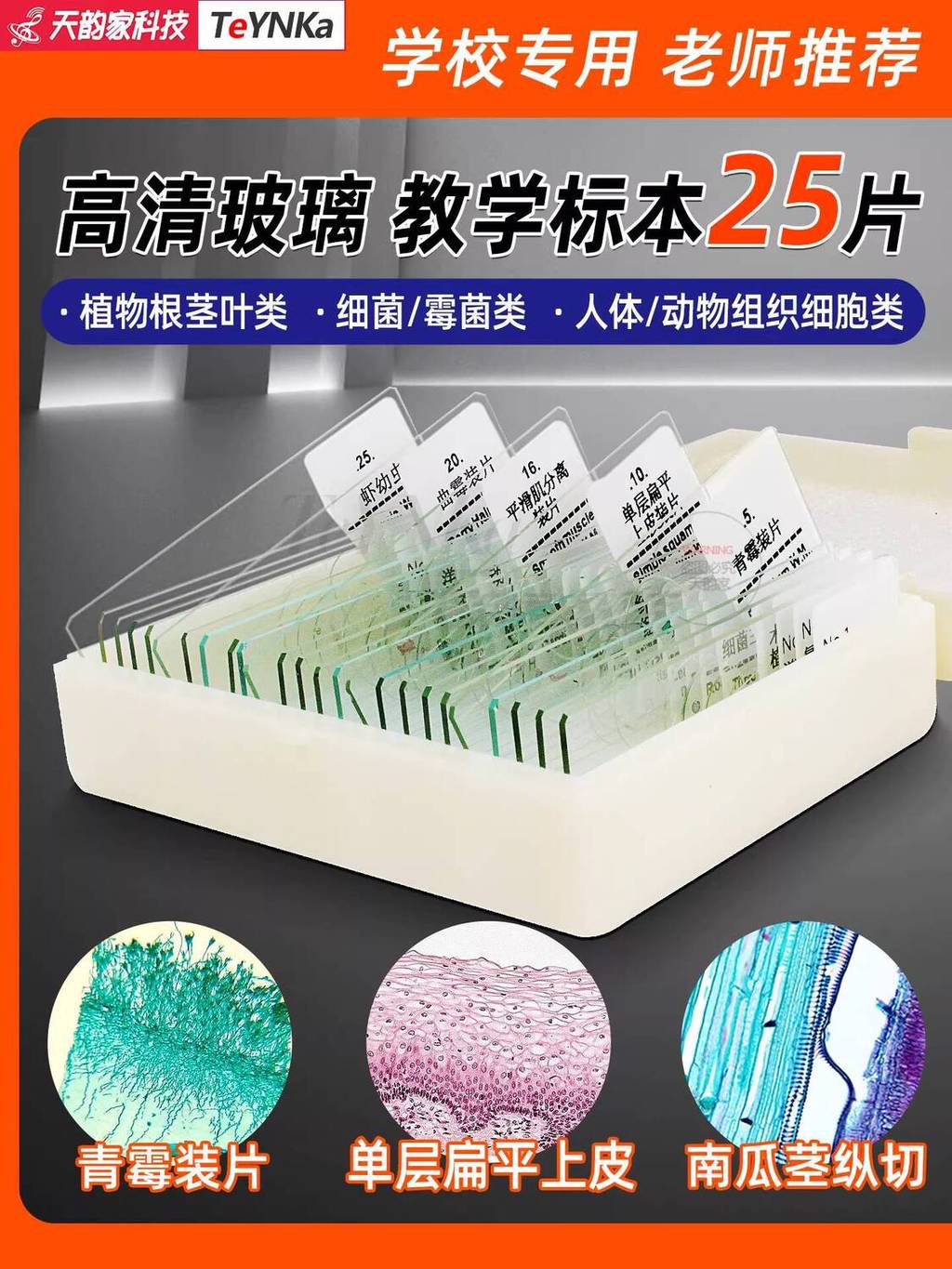 25-piece Set of Microscope Observation Permanent Specimen Slides for ...