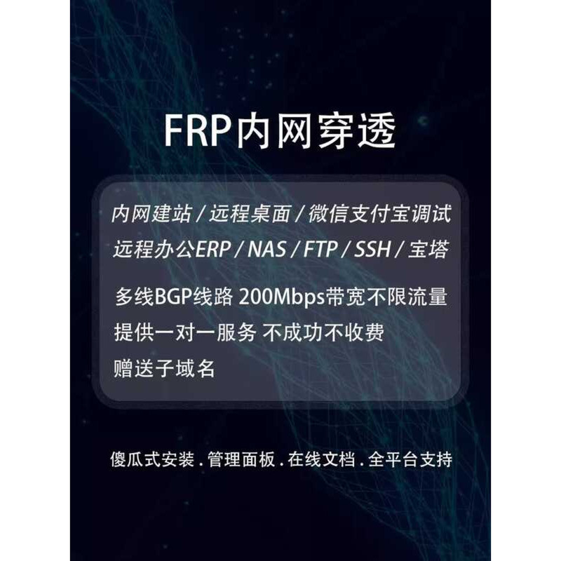 FRP Penetration Peanut Shell Port Mapping Intranet Website Building ...