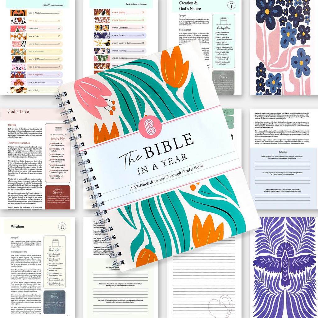 A One-Year Bible Reading Plan – A year-long study plan with a 52-week ...