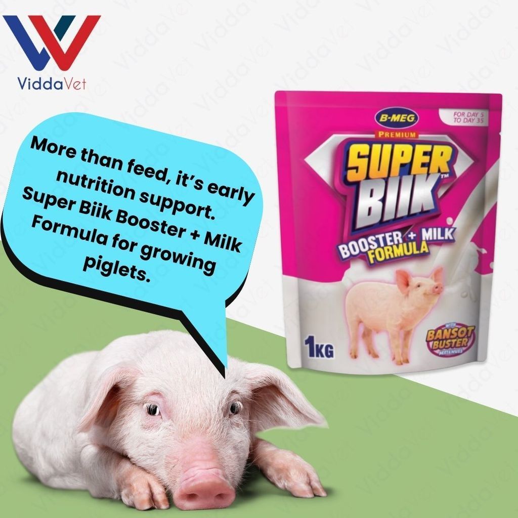 Super Biik Booster Plus Milk Formula Powder For Piglets 1KG Early ...
