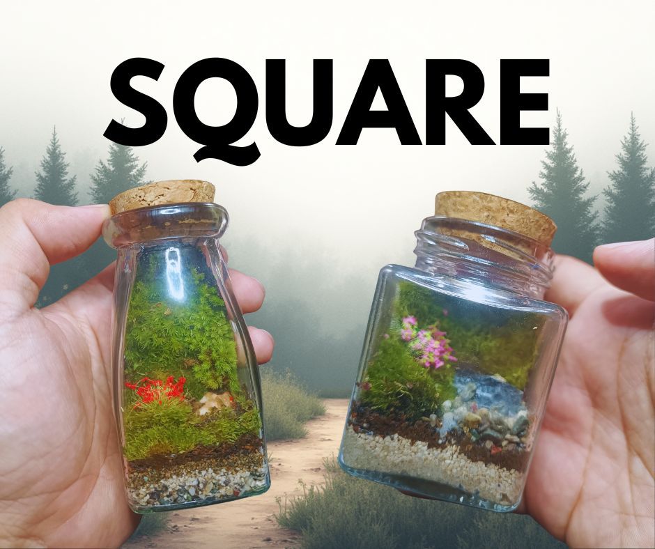 MINI TERRARIUM ON JAR | Shopee Philippines