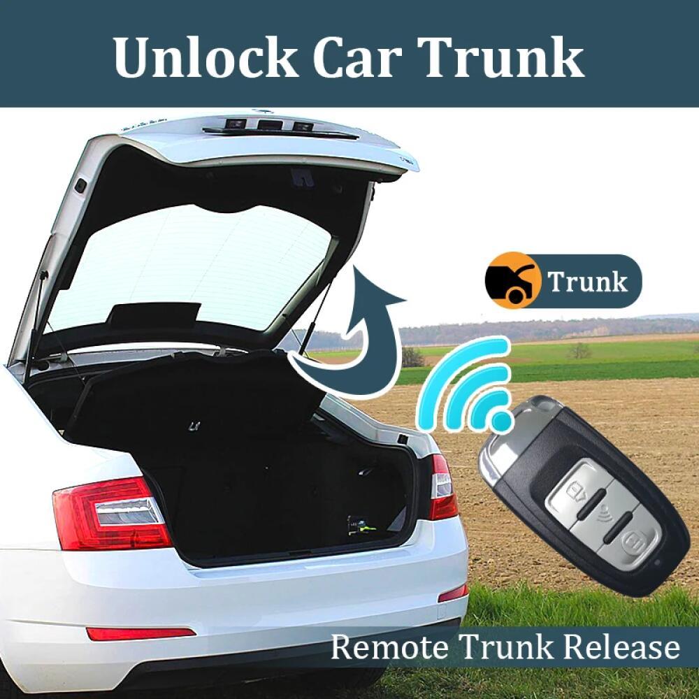 Car Alarm Remote Control C6-A Car Keyless Entry Engine Start Alarm ...