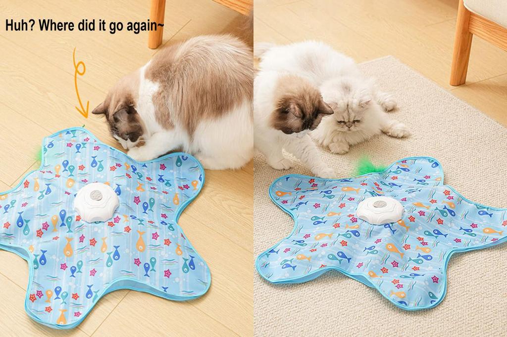 BABY Cat Hide and Seek Toy Usb Rechargeable Cat Toy Rechargeable Cat ...