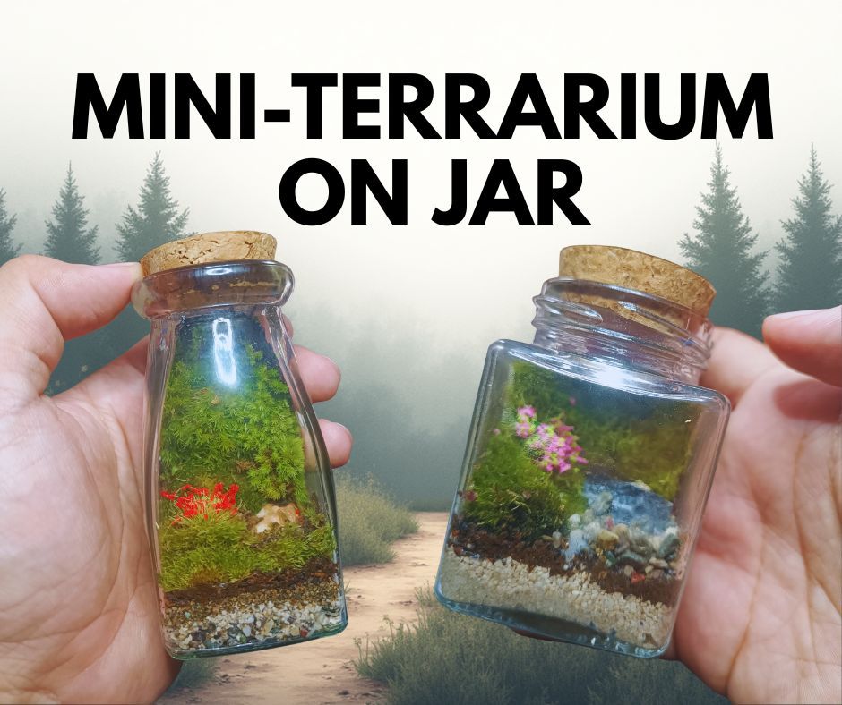 MINI TERRARIUM ON JAR | Shopee Philippines