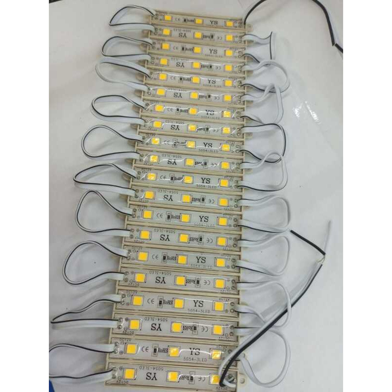 LED MODULE 5054 WARM WHITE 20 PCS D7d | Shopee Philippines