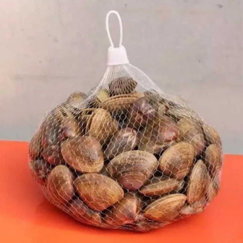 100pcs 12 inch Nylon Net Reusable Nylon Mesh Net Produce Grocery Toys ...