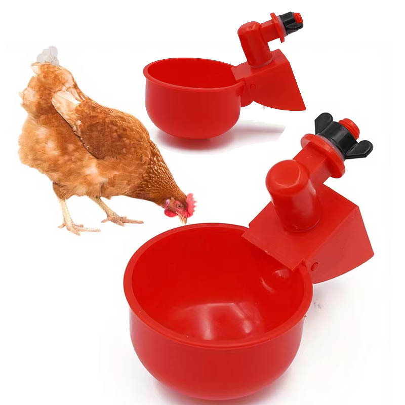 【50pcs】Chicken Drinking Bowl Automatic Poultry Chicken Drinking Bowl ...
