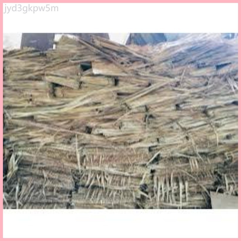Shop pawid for Sale on Shopee Philippines