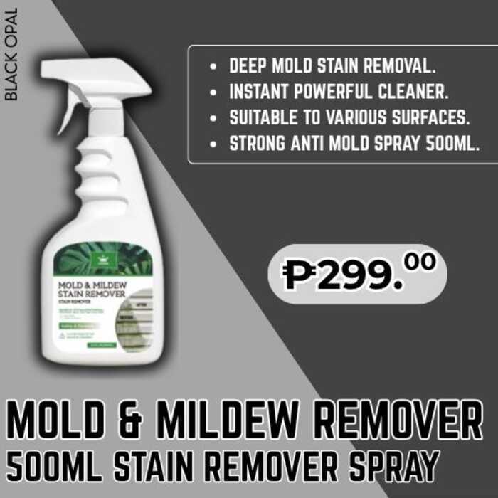 Best Seller POWERFUL MOLD AND MILDEW STAIN REMOVER (500Ml) | Multi ...