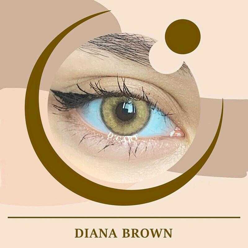 Diana Brown Dcart Lenses 1 Pair | Shopee Philippines