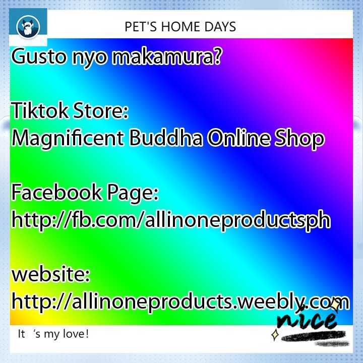 ABC & Cattitude Bentonite Cat Litter Sand 10L 00F | Shopee Philippines