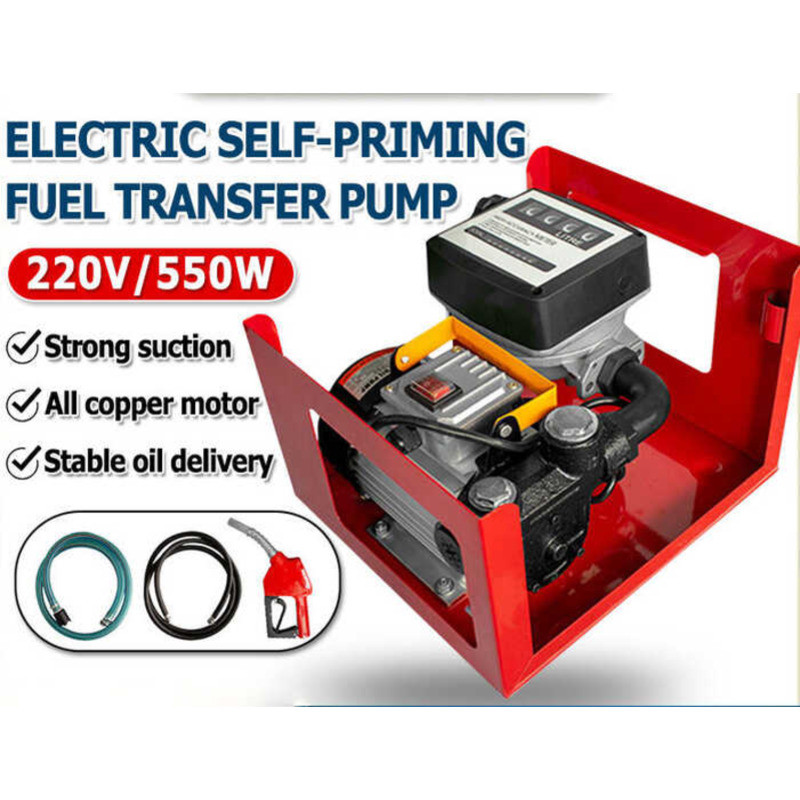 Portable Electric Oil Kit 220V Transfer Pump With Hose Nozzle For Fuel ...