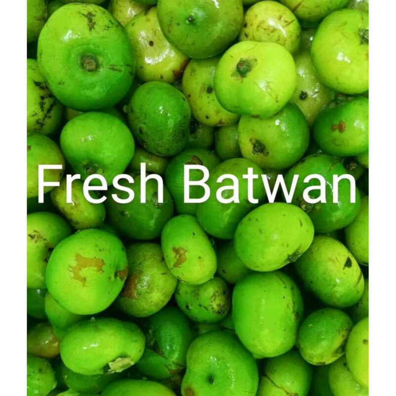 Batwan FRESH For KBL & Sinigang Fast Shipping C87 | Shopee Philippines