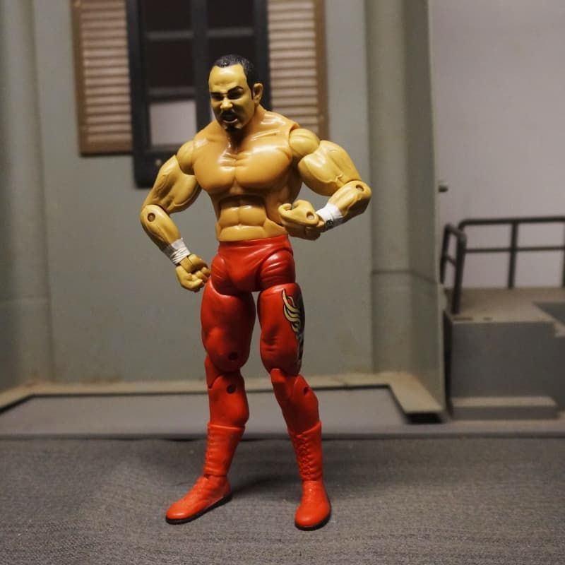 Genuine Bulk Goods Wrestler Senarel Randy HHH Joint Super Action Figure ...
