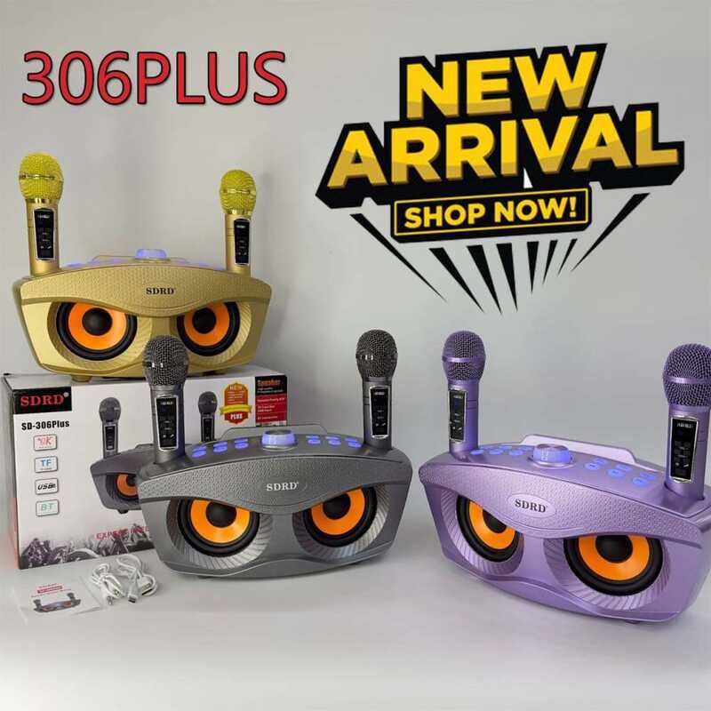 SDRD Wireless Bluetooth Dual Microphone Karaoke Portable 3D Stereo ...