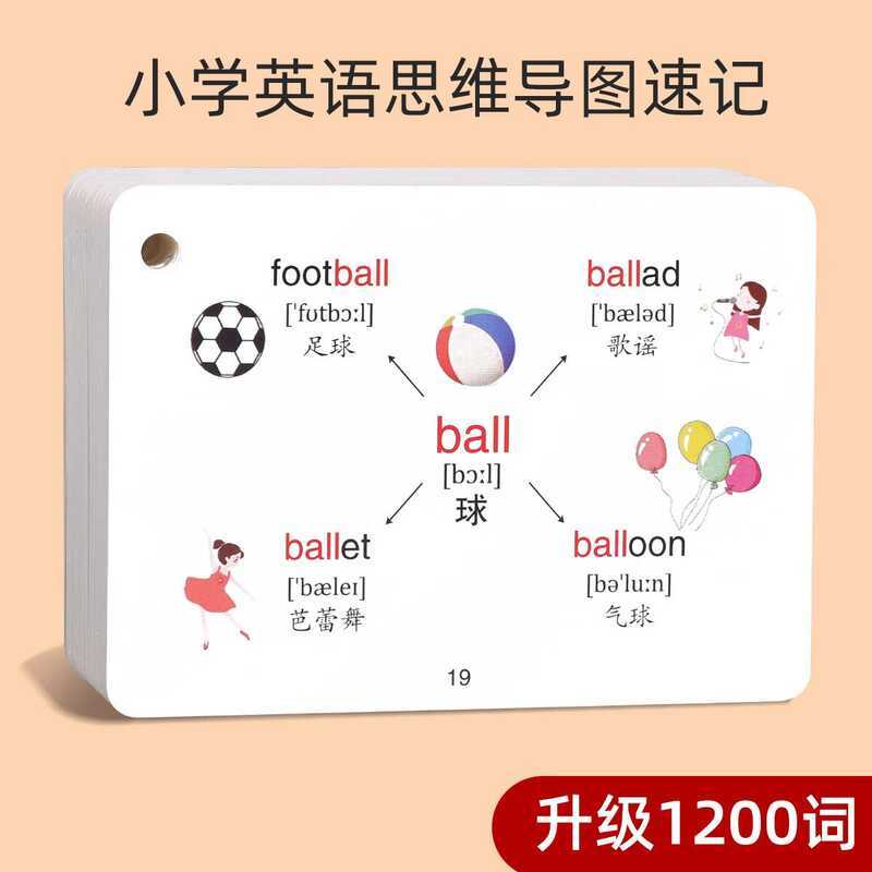 Primary School Flashcards Mind Map Quick Hand Vocabulary Memorization ...