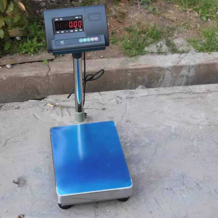 100kg High Precision Floor Electronic TCS-100kg/5g with Stand ...