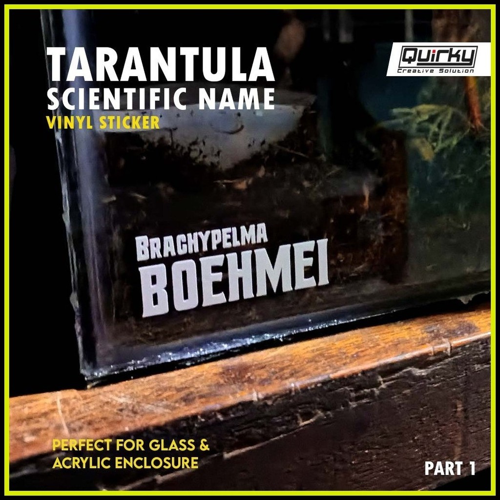 Tarantula Label ID Scientific name - Cut out sticker for Glass and ...