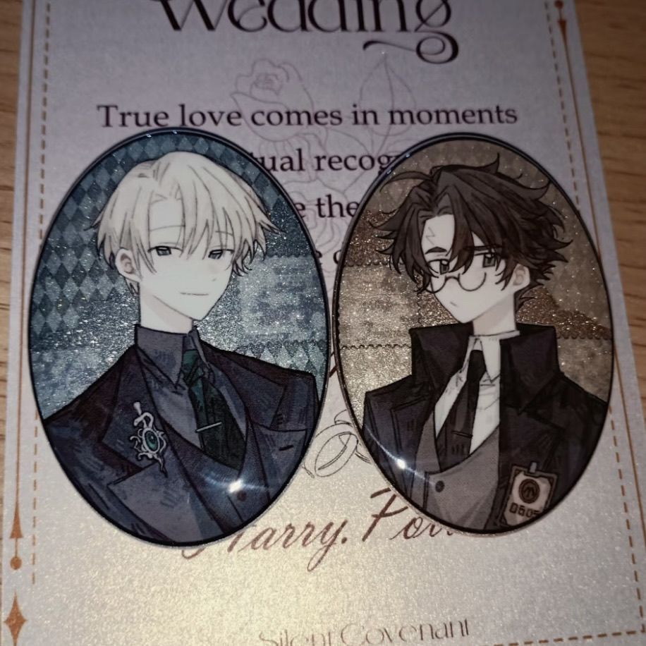Harry Potter Drarry Fanmade 6.3×9.3cm Oval Enamel Pin Badge Collectible ...