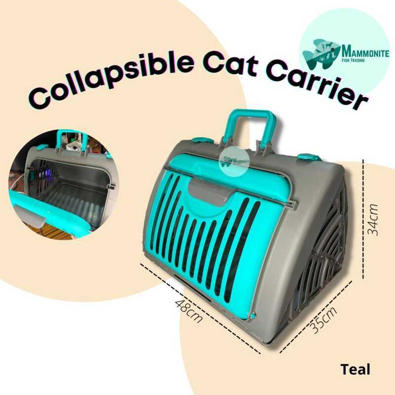 Pet Cat Collapsible Carrier Box Travel Enclosed Carrier | Shopee ...