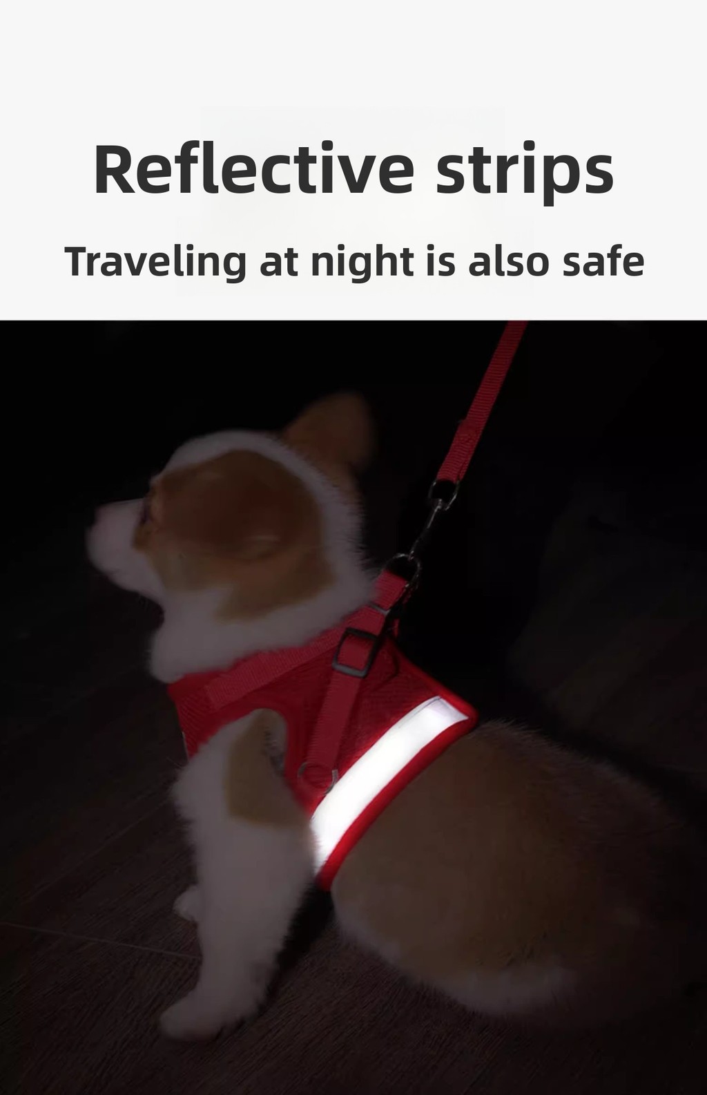 Pet Reflective Strap and Leash Set, Suitable for Dogs and Cats ...