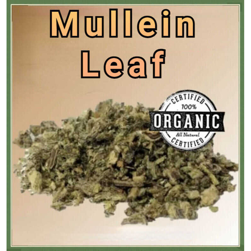 ORGANIC MULLEIN AUSTRALIA - Best Quality Dried Mullein Leaf Tea Herb ...