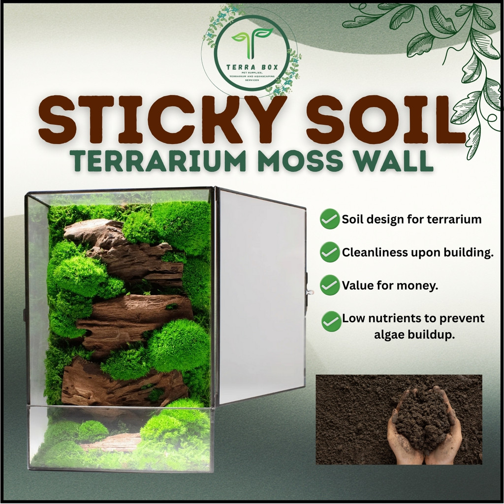 TERRA BOX STICKY SOIL FOR TERRARIUM MOSS WALL | Shopee Philippines