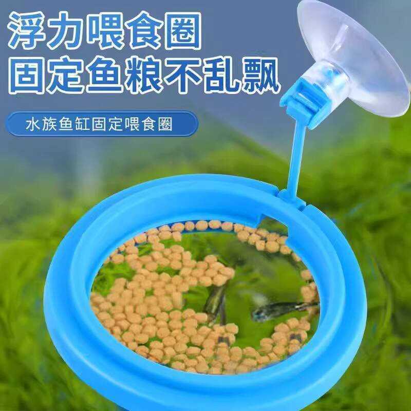 Device Tank Food Feeder Brine Shrimp Feeding Ring Floating Small Fish ...