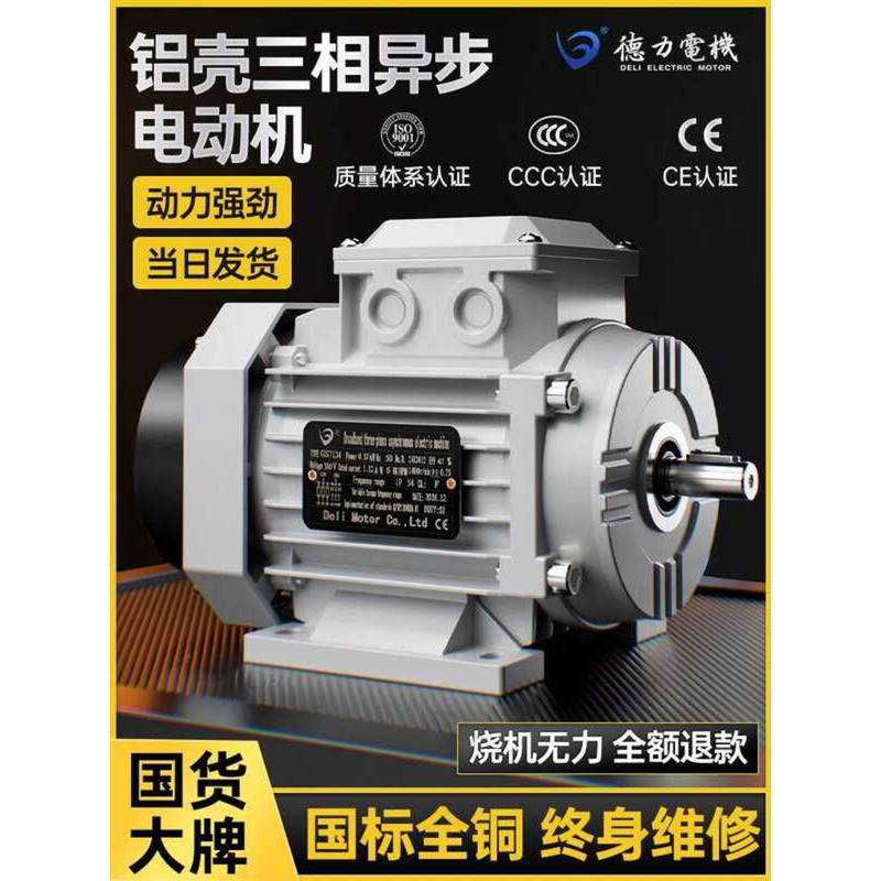 DELI MOTOR Deli Three-phase Asynchronous Motor B3 Horizontal 380V ...