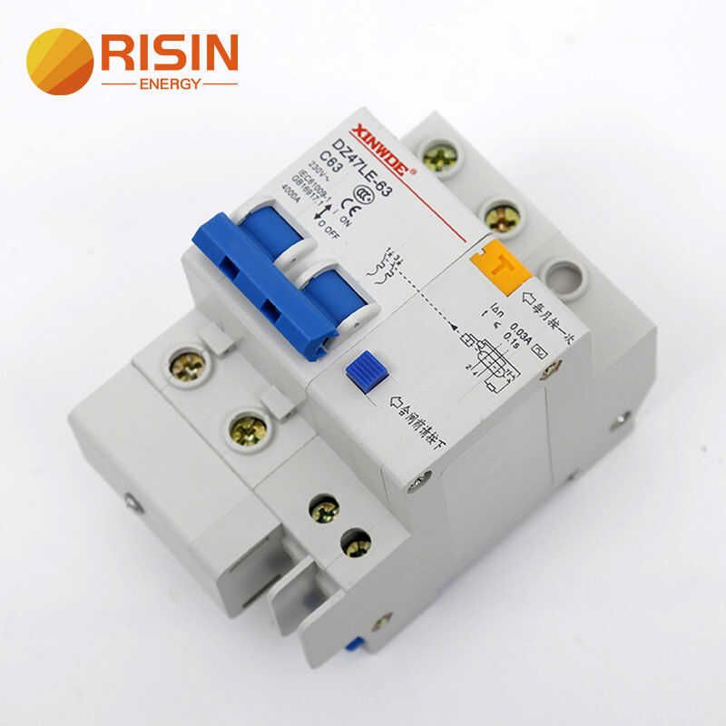 AC 1P 2P 6A-100A 30Ma Rcbo/Rccb/Rcd/Elcb Leakage Circuit Breaker 4D3 ...