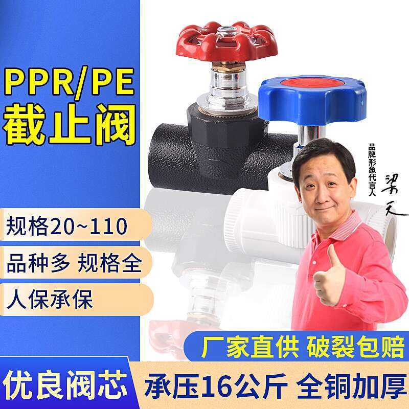 PPR Lifting Type Shut-off 4 20 PE Water 6 Points 25 Gate Valve Switch ...